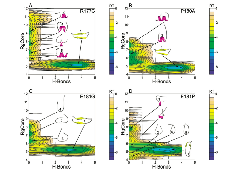 COMPUTATIONAL STRUCTURAL BIOLOGY: Prof. FRANCESCA FANELLI – University ...